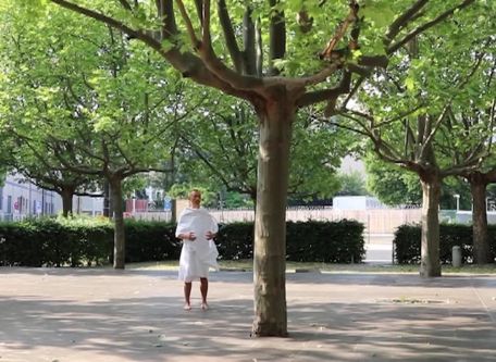 Zheng Bo: Das Qi des Baumes sammeln